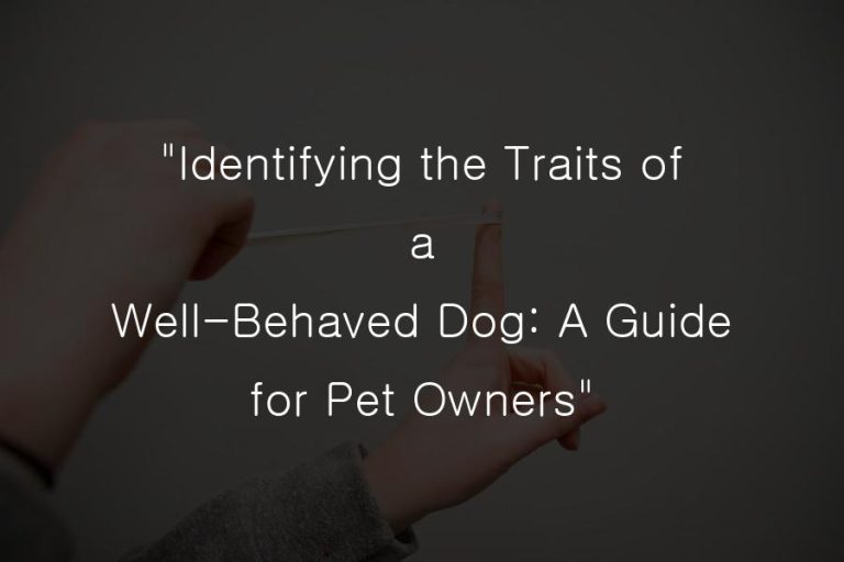 "Identifying the Traits of a Well-Behaved Dog: A Guide for Pet Owners ...